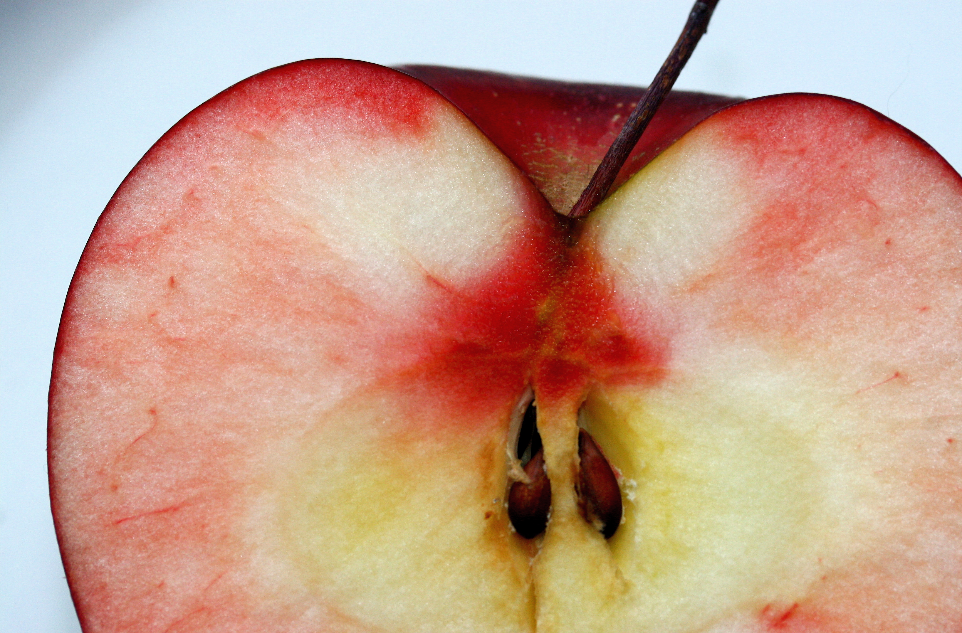 Apple Pip Princess Junior Master Gardener