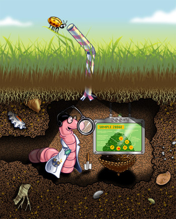 Online Soil Color Scale - Junior Master Gardener