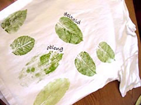 Leaf Print Painting - Junior Master Gardener