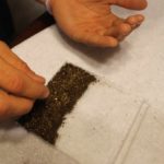 SeeD Case - Junior Master Gardener