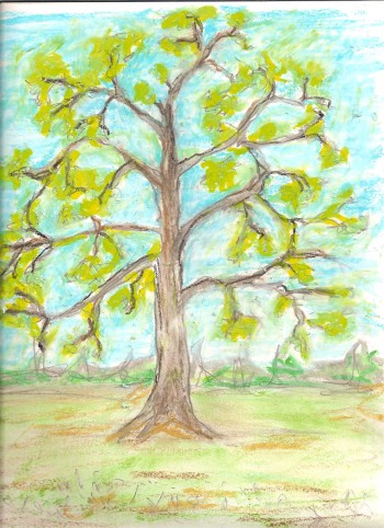 A New Leaf, Part 2: Final Draft - Junior Master Gardener