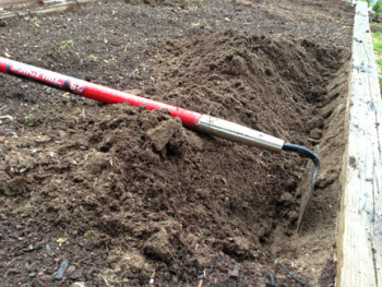 Solarizing Your Garden for the Summer – Junior Master Gardener