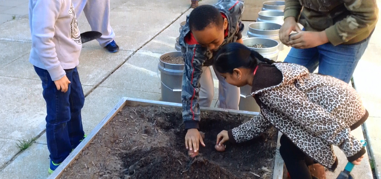 Learn, Grow, Eat & Go! - Junior Master Gardener