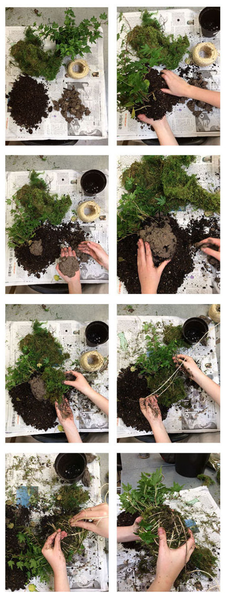 Simple String Gardens - Junior Master Gardener