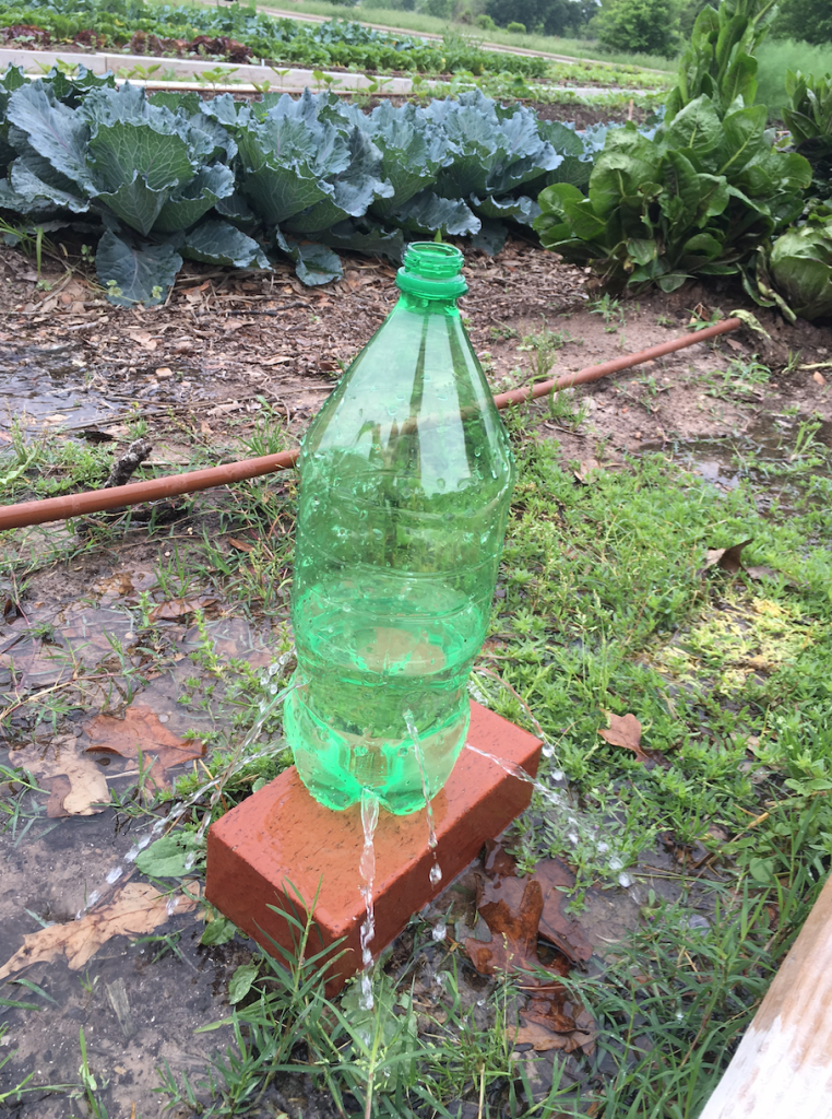 Soda Bottle Drip Feeder - Junior Master Gardener