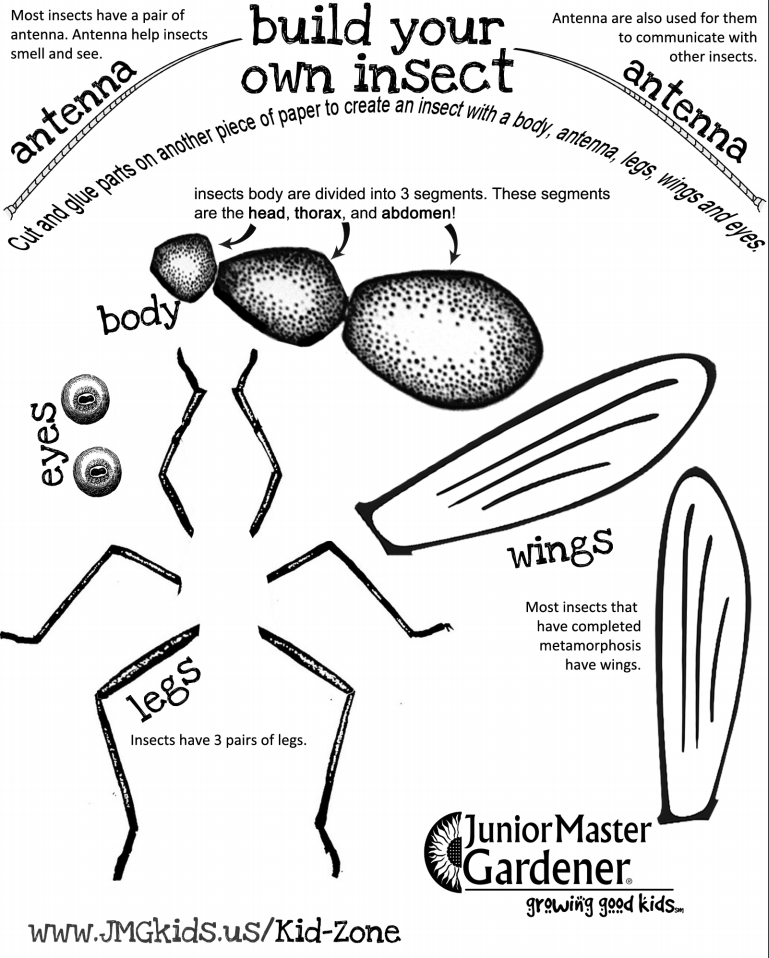 Bug Suckers & More Insect Fun! - Junior Master Gardener