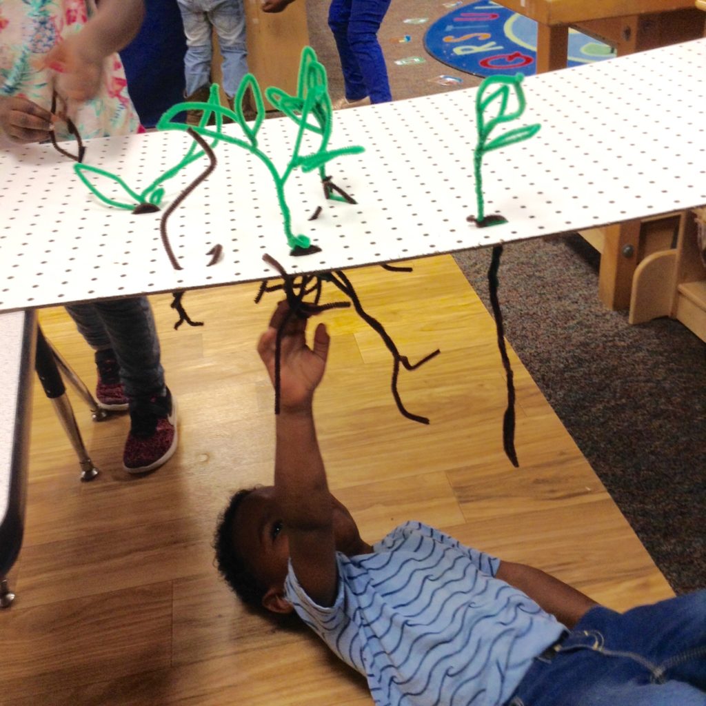 Implementing the Early Childhood Learn, Grow, Eat & Go Curriculum ...